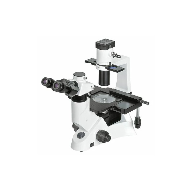 Mikroskop odwrócony Delta Optical IB-100 LED (DO-3719)